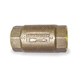 1" FNPT Check Valve for RNS-SS